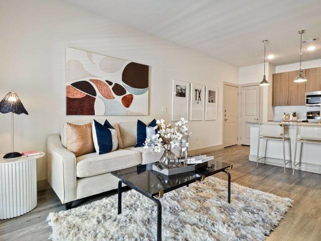 1 BR, 1 BA Apartment 1476 East McCarty Lane Unit 1111, San Marcos, TX 78666