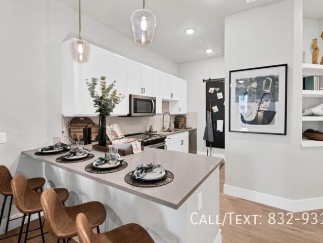 1 BR, 1 BA Apartment 1508 Summer St, Houston, TX 77007