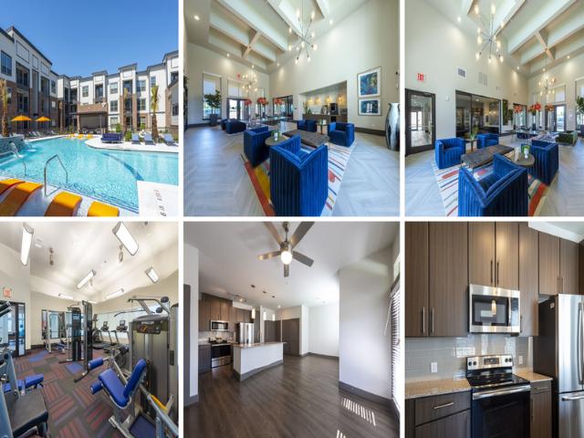 1 BR, 1 BA Apartment 15130 Aldine Westfield Rd, Northline & Aldine, TX 77032