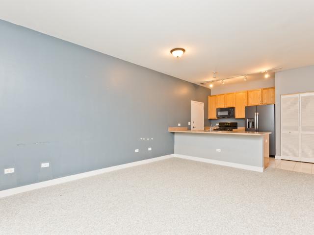 1 BR, 1 BA Apartment 1515 South Halsted Street, Chicago, IL 60607