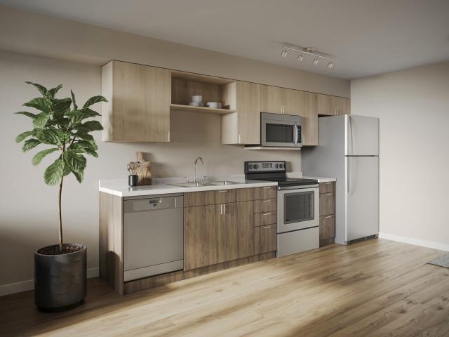 1 BR, 1 BA Apartment 15311 33rd Ave S Unit 503, Seattle, WA 98188