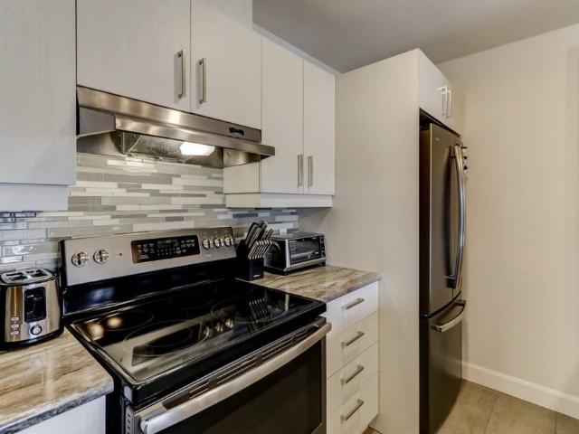1 BR, 1 BA Apartment 1542 N Alamo Street, San Antonio, TX 78215