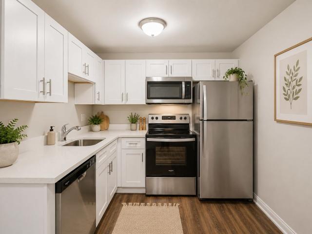 1 BR, 1 BA Apartment 1547 W Irving Park Rd Unit A 317, Itasca, IL 60143