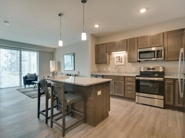 1 BR, 1 BA Apartment 1555 Quarry Road Unit 241, Saint Paul, MN 55121