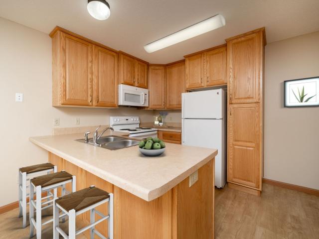1 BR, 1 BA Apartment 1573 Aspen Drive Unit 1519, Saint Peter, MN 56082