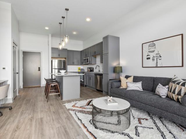 1 BR, 1 BA Apartment 1598 Robert Street South Unit 441, Saint Paul, MN 55118