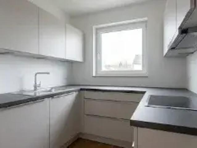 1 BR, 1 BA Apartment 1601 South Akard Street, Dallas, TX 75215