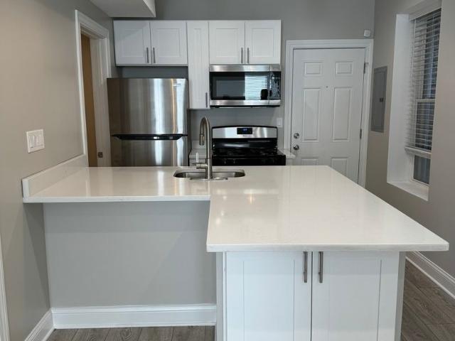 1 BR, 1 BA Apartment 1633 N. Honore, Chicago, IL 60622