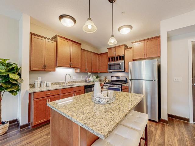 1 BR, 1 BA Apartment 1699 Stieger Lake Lane Unit 203, Victoria, MN 55386