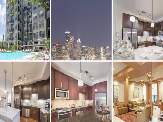 1 BR, 1 BA Apartment 1701 W Alabama St, Montrose & Museum District, TX 77006