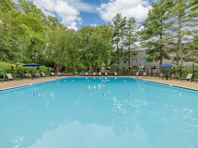 1 BR, 1 BA Apartment 1712 Waverly Way Unit 1643 D WW, Baltimore, MD 21239