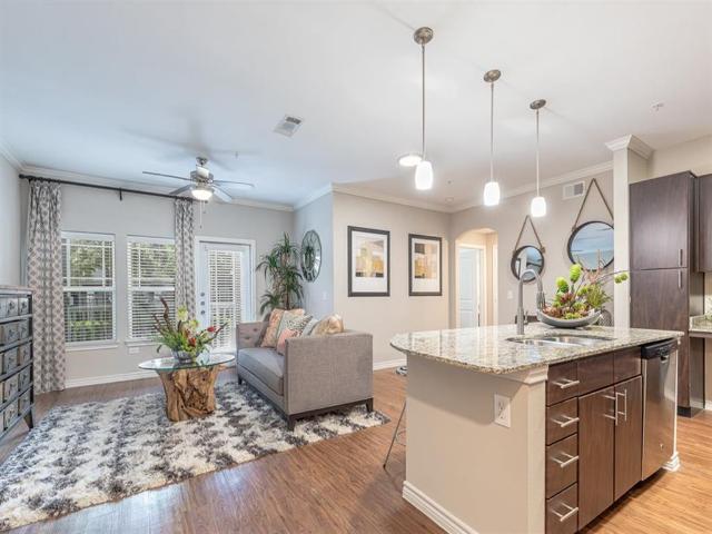 1 BR, 1 BA Apartment 1715 Enclave Parkway Unit 13205, Houston, TX 77077