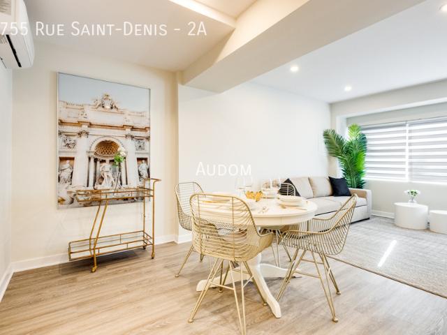 1 BR, 1 BA Apartment 1755 Rue Saint Denis, MontrÃ©al, QC H2X 3K4