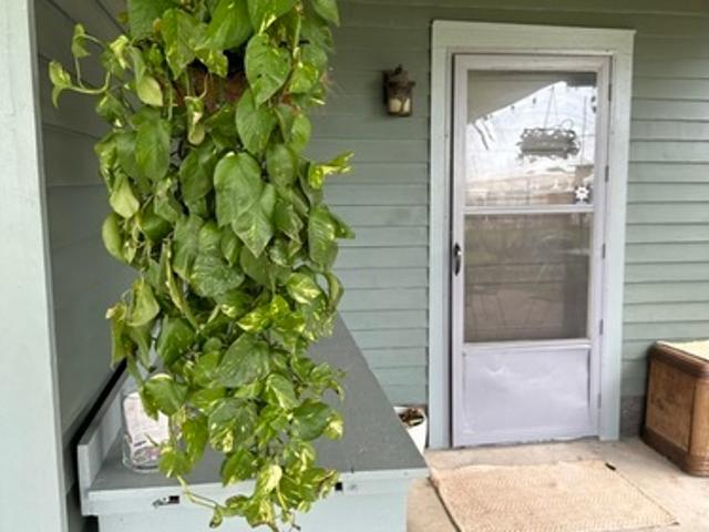 1 BR, 1 BA Apartment 1810 Moss St, Unit B, New Orleans, LA 70119