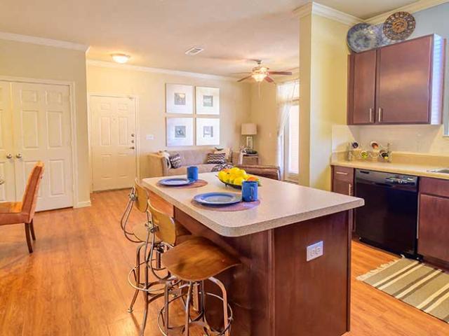 1 BR, 1 BA Apartment 1811 Medical Parkway Unit 727, San Marcos, TX 78666