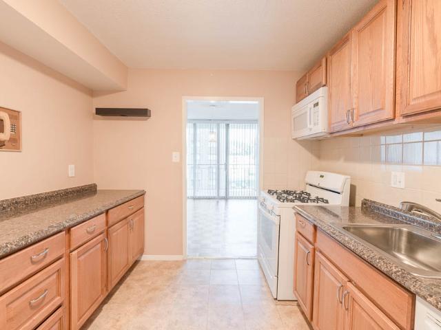 1 BR, 1 BA Apartment 1836 Metzerott Rd, Adelphi, MD 20783