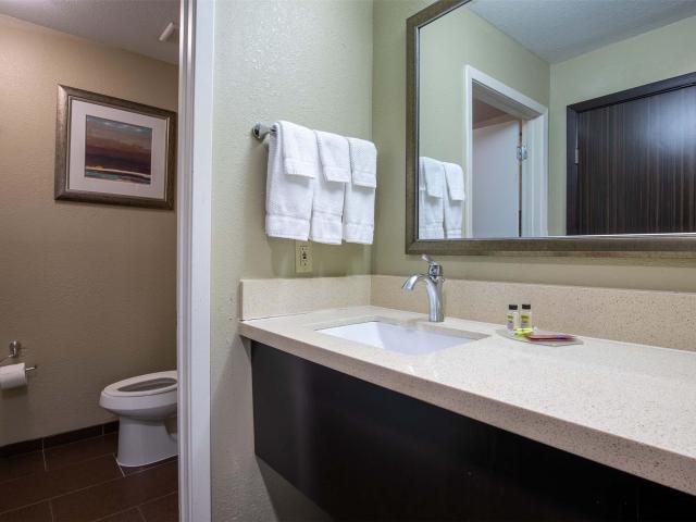 1 BR, 1 BA Apartment 18828 Highway 249, Houston, TX 77070