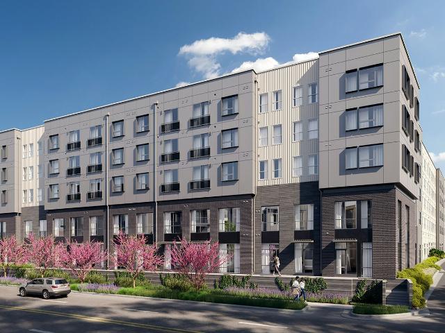 1 BR, 1 BA Apartment 1905 Alexander Ave, Austin, TX 78722