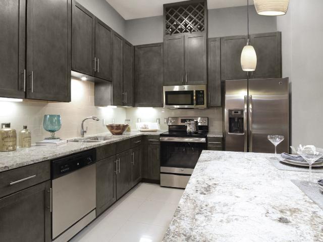 1 BR, 1 BA Apartment 1916 West Gray Street Unit 316, Houston, TX 77219