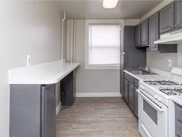 1 BR, 1 BA Apartment 1001 Arion Park Road Unit 157, Baltimore, MD 21229