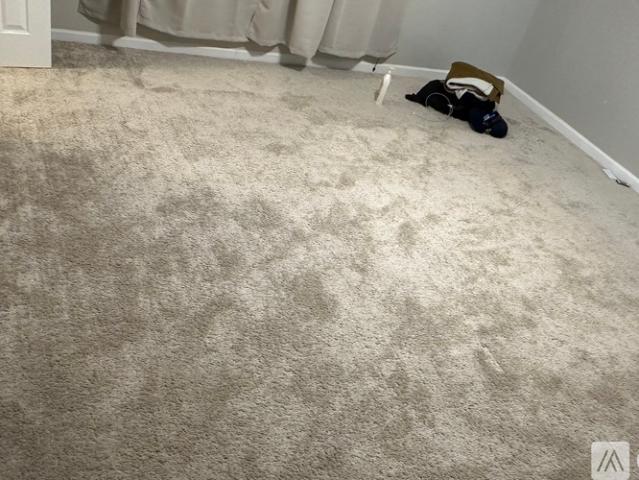 1 BR, 1 BA Apartment 1001 Tradewinds Road, Virginia Beach, VA 23464