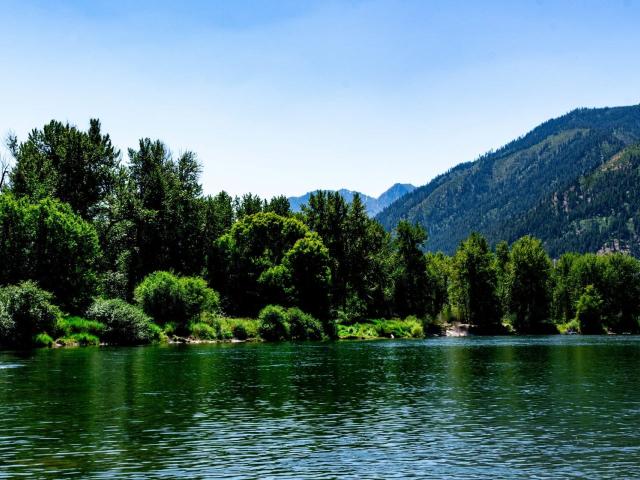 1 BR, 1 BA Apartment 1021 Walla Walla Avenue Unit A 403, Wenatchee, WA 98801