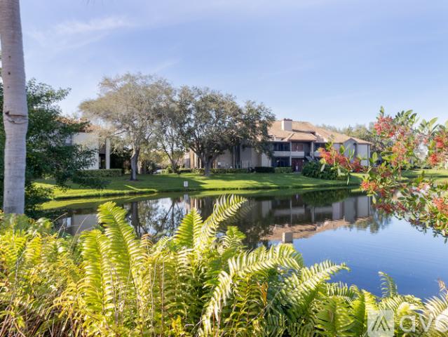 1 BR, 1 BA Apartment 10265 Gandy Blvd N, Unit 1613, St. Petersburg, FL 33702