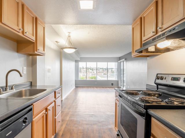 1 BR, 1 BA Apartment 10306 Meridian Avenue North Unit 412, Seattle, WA 98133