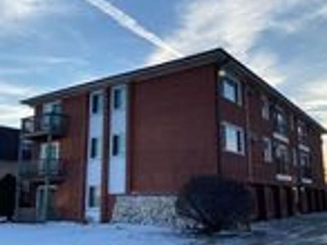 1 BR, 1 BA Apartment 10430 Mayfield Ave, Oak Lawn, IL 60643