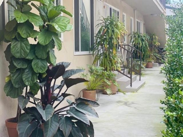 1 BR, 1 BA Apartment 1047 N Ogden Dr, Unit 2, West Hollywood, CA 90046