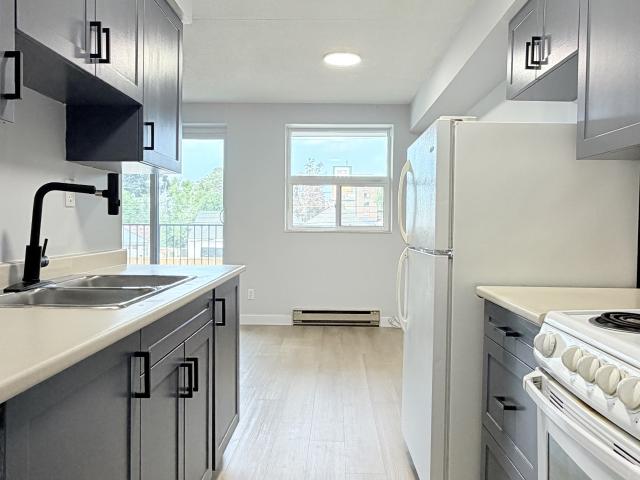 1 BR, 1 BA Apartment 1071 McDougall St, Windsor, ON N9A 1M2
