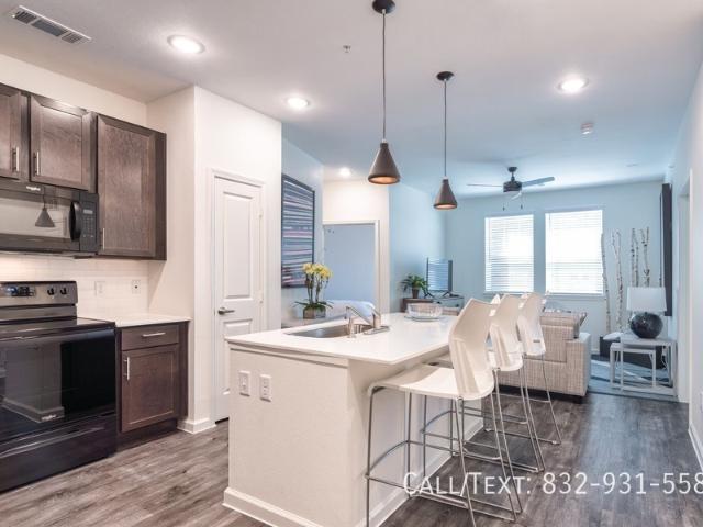 1 BR, 1 BA Apartment 1100 Commerce St, Houston, TX 77002