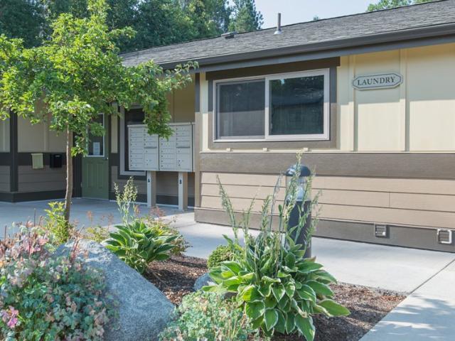 1 BR, 1 BA Apartment 1108 NE Rose St, Phoenix, OR 97535