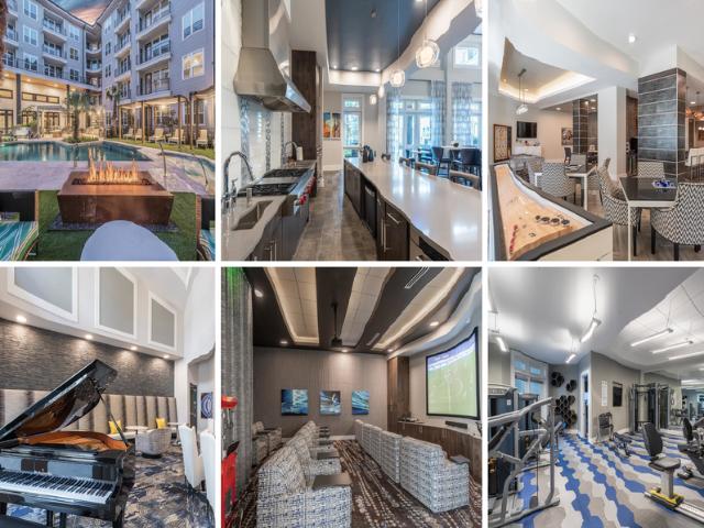 1 BR, 1 BA Apartment 11104 Domain Dr, Oak Hill, TX 78758