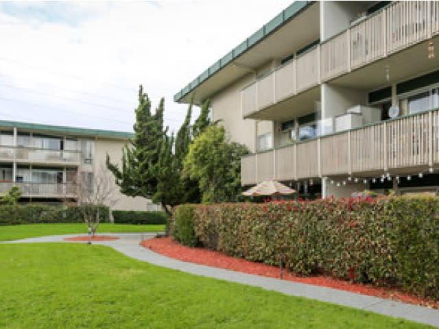 1 BR, 1 BA Apartment 1110 Polynesia Drive Unit 315, San Mateo, CA 94404