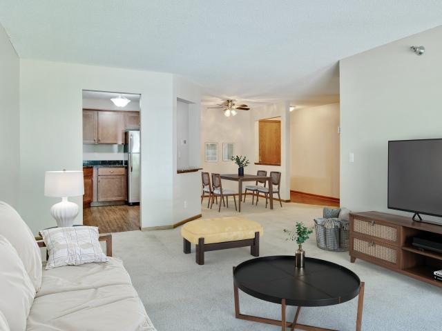 1 BR, 1 BA Apartment 1115 Elway Street Unit 213, Saint Paul, MN 55116