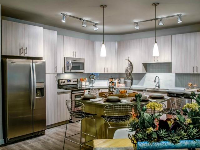 1 BR, 1 BA Apartment 111 Probandt Street Unit 313, San Antonio, TX 78204