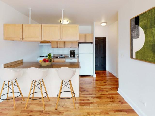 1 BR, 1 BA Apartment 1120 1126 East 47th Street Unit B1, Chicago, IL 60653