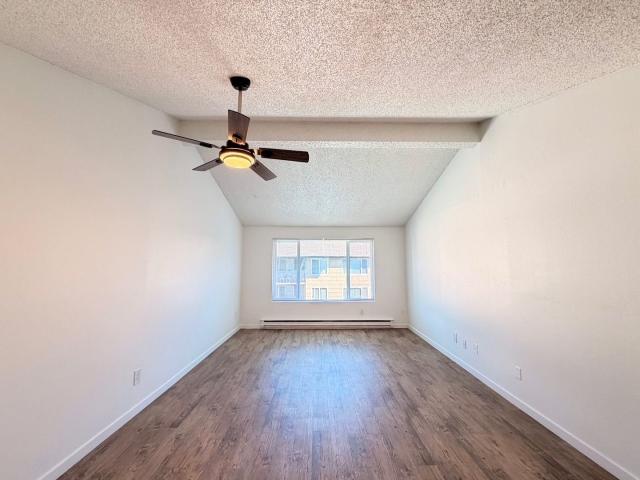 1 BR, 1 BA Apartment 11300 3rd Avenue Northeast Unit 119, Seattle, WA 98125