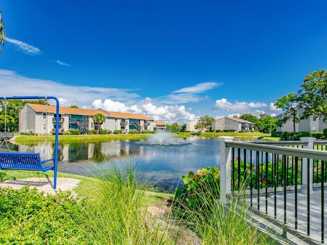 1 BR, 1 BA Apartment 11401 Doctor Martin Luther King Junior Street North Unit 2302, Saint Petersburg, FL 33716