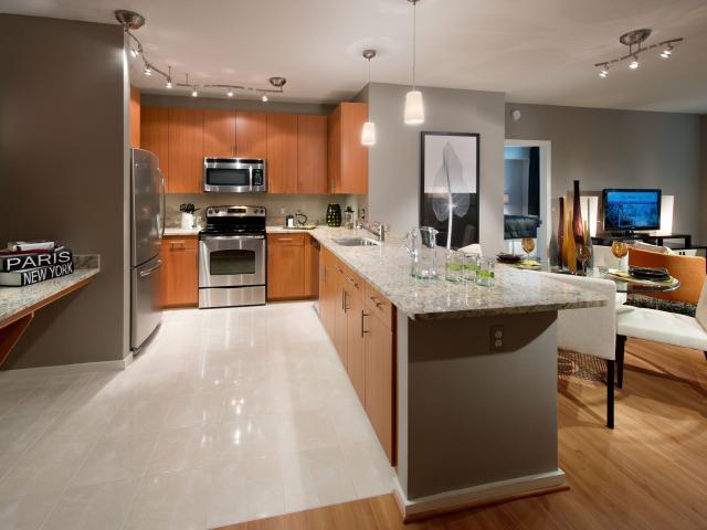 1 BR, 1 BA Apartment 1150 Ripley Street Unit 011018, Silver Spring, MD 20910