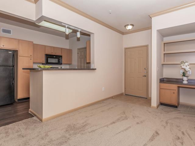 1 BR, 1 BA Apartment 11707 Fallbrook Drive Unit 5207, Houston, TX 77065