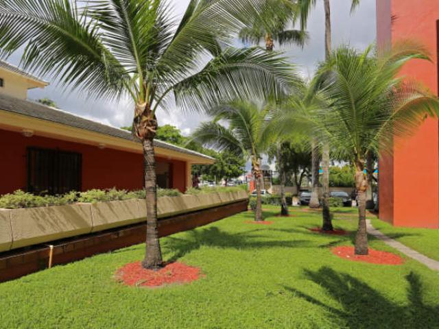 1 BR, 1 BA Apartment 1196 NW 40th Ave, Lauderhill, FL 33313