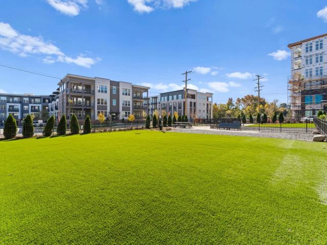 1 BR, 1 BA Apartment 120 Hollis Road Unit 420, Charlotte, NC 28209