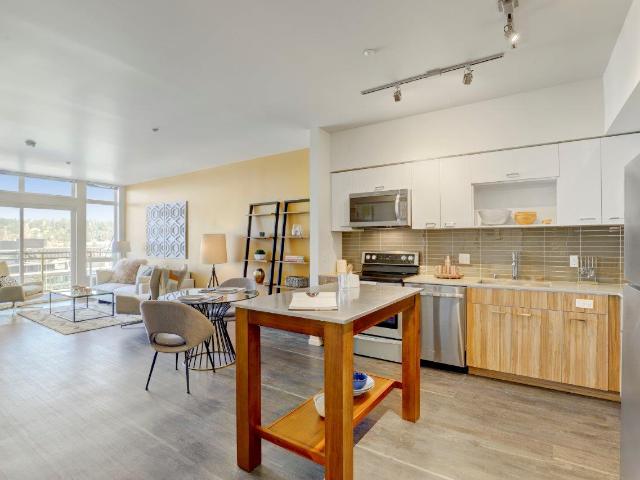 1 BR, 1 BA Apartment 1227 124th Ave NE Unit E 206, Bellevue, WA 98005