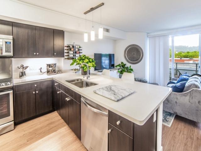 1 BR, 1 BA Apartment 1250 Arroyo Way Unit 326, Walnut Creek, CA 94596