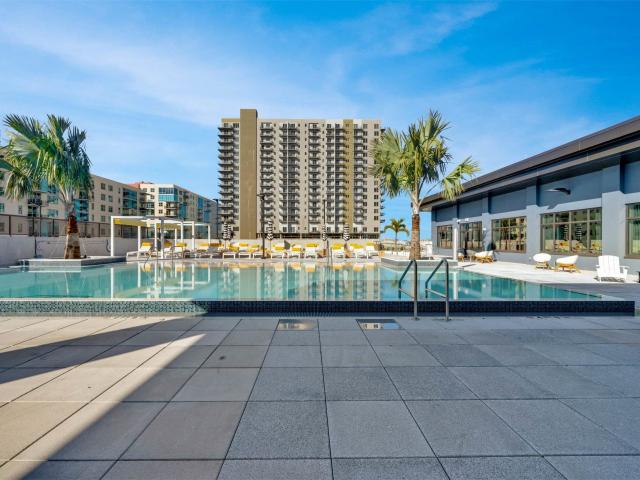 1 BR, 1 BA Apartment 1250 E Madison St. Unit 331, Tampa, FL 33602