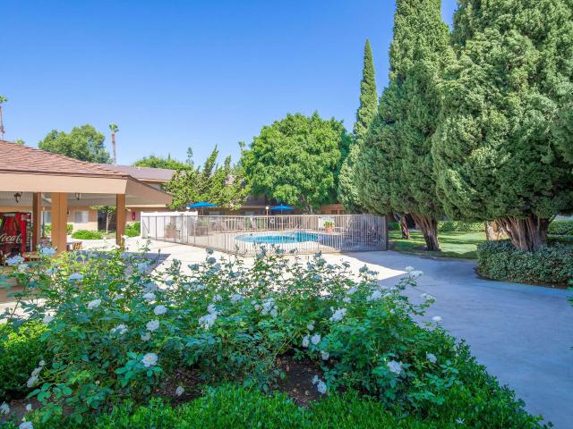 1 BR, 1 BA Apartment 125 N Syracuse St Unit 42, Anaheim, CA 92801