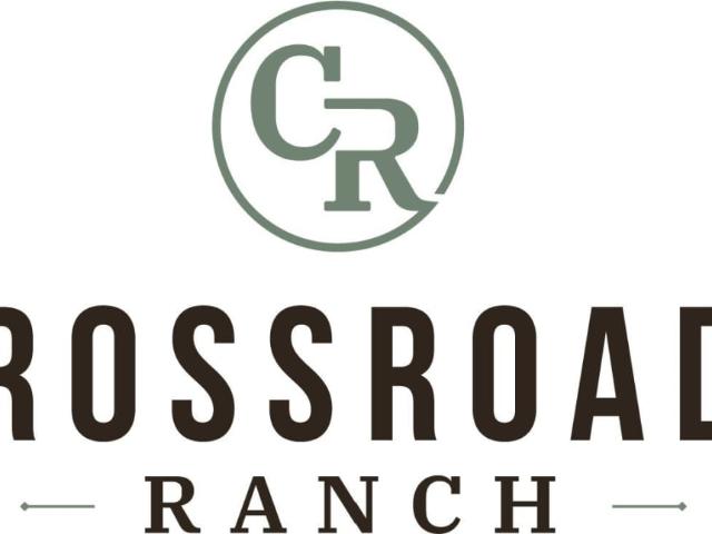 1 BR, 1 BA Apartment 12655 Crossroads Park Drive Unit 337, Houston, TX 77065