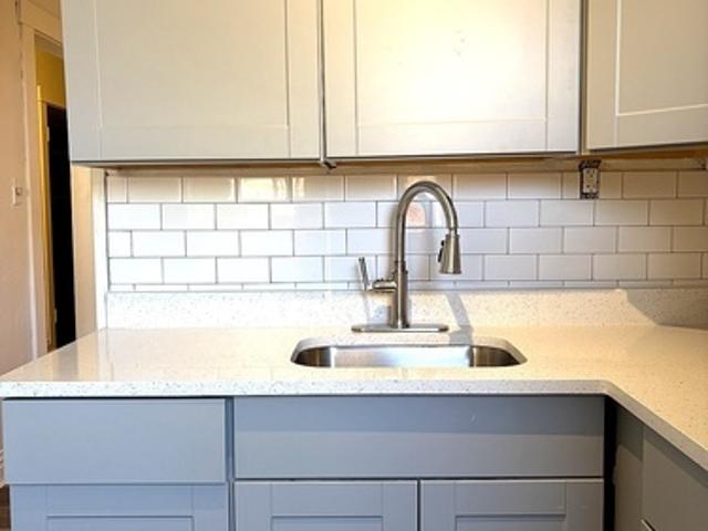 1 BR, 1 BA Apartment 1306 N Elizabeth St, Unit 01, Denver, CO 80206